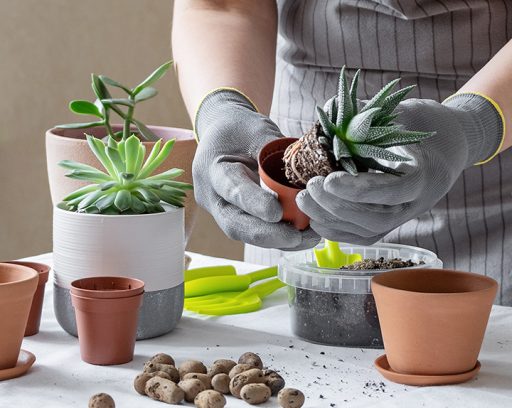 2023. 06. 16 – SPC매거진