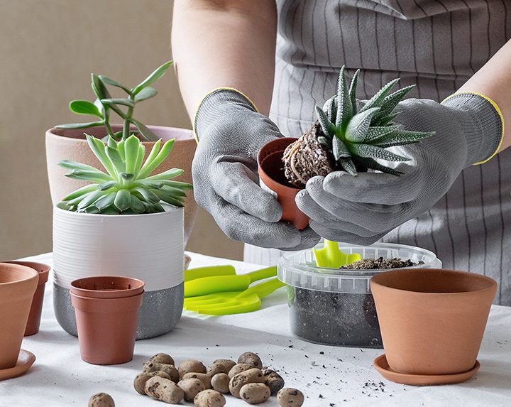 2023. 06. 16 – SPC매거진