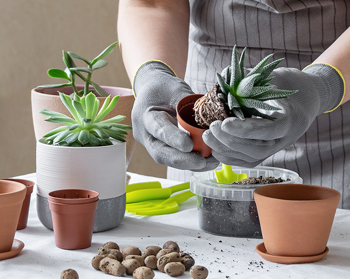 2023. 06. 16 – SPC매거진